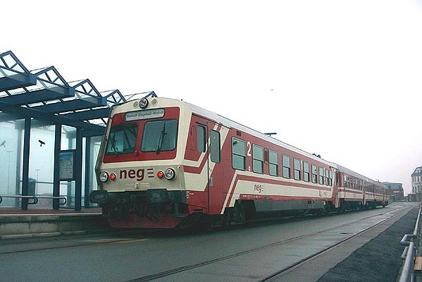 NEG T4